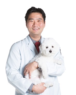 김용희 수의사, 고양이 친화 동물병원